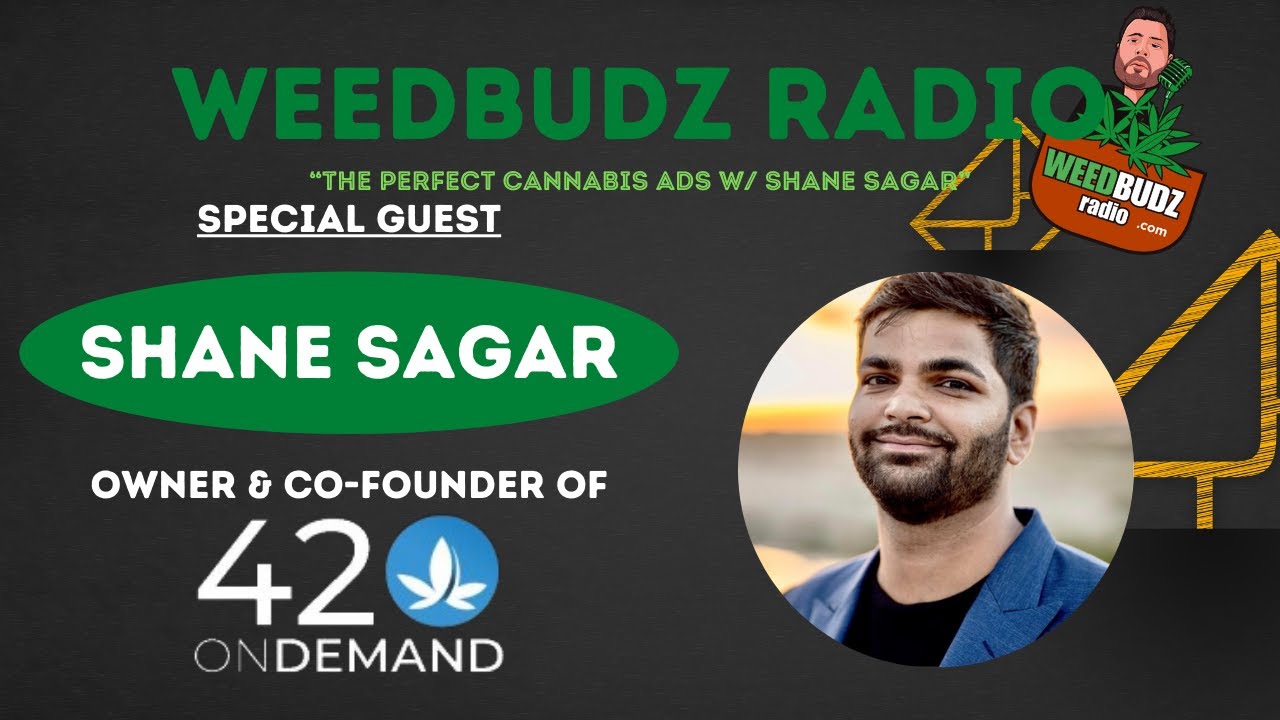 The Perfect Cannabis Ads w/ Shane Sagar - YouTube