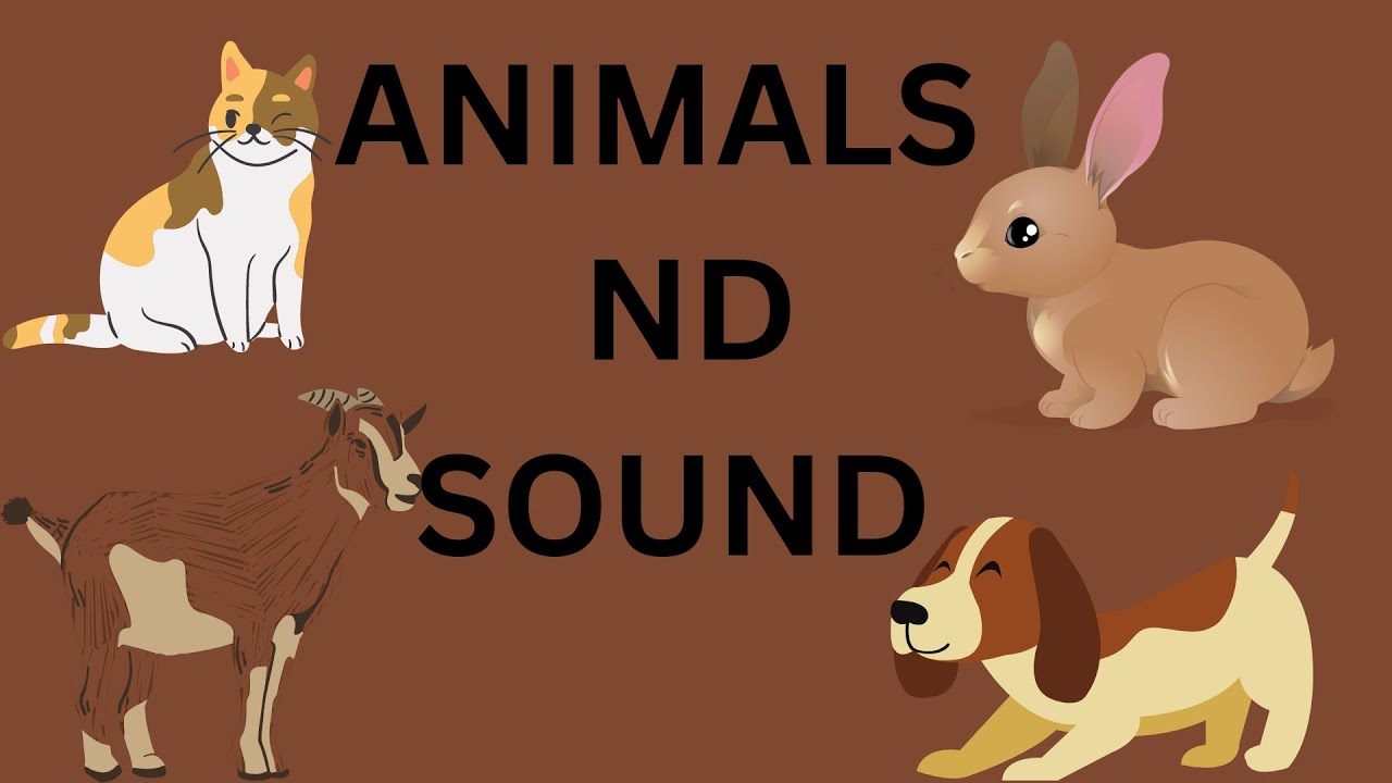 Animals nd animals sound , kids ,learn for kids - YouTube