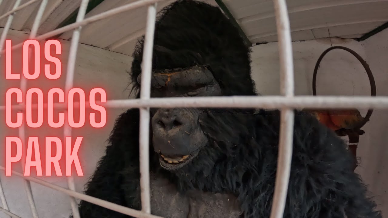 Visita a Los Cocos Park - YouTube