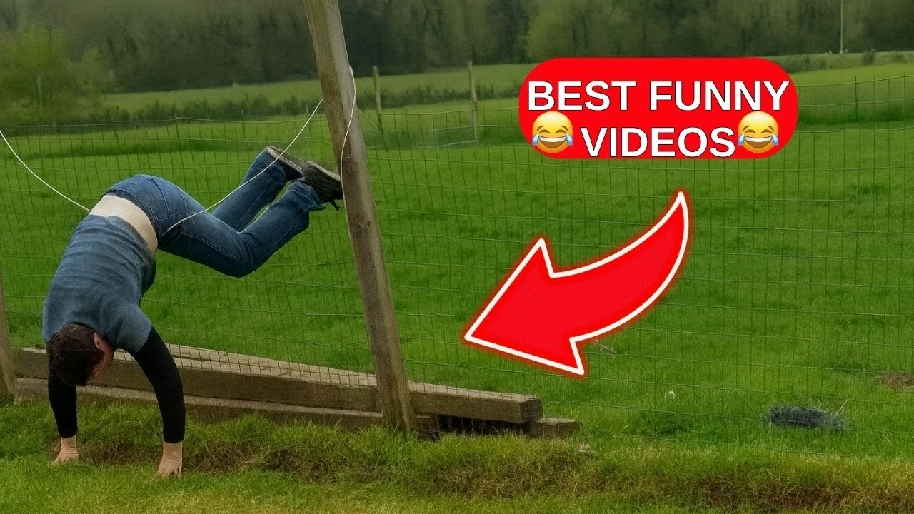 Best Funny Videos 😂 Funny Fails And Troll That Made Everyone Laugh ...
