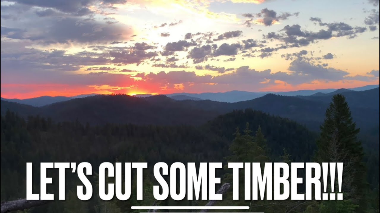 Timber falling, logging, chainsaws and beautiful views! - YouTube