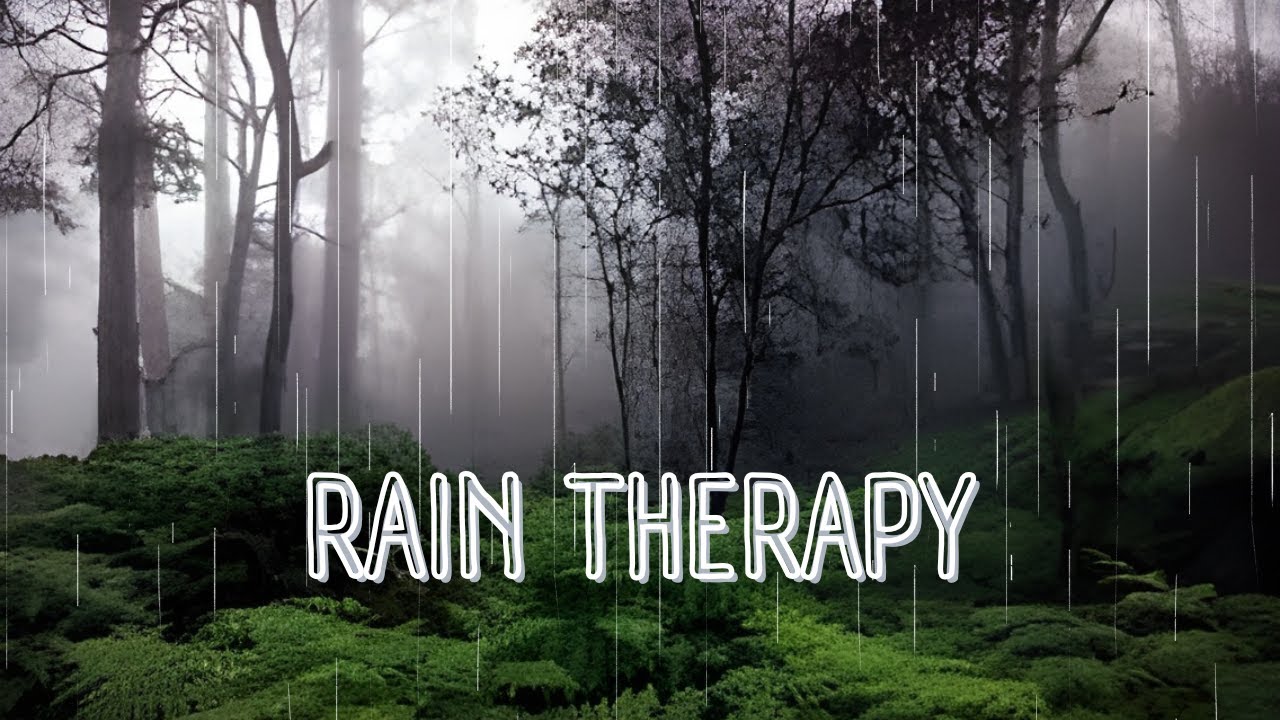 Rainfall in the Misty Forest 🌧️ Calming Ambience for Sleep & Relaxation ...