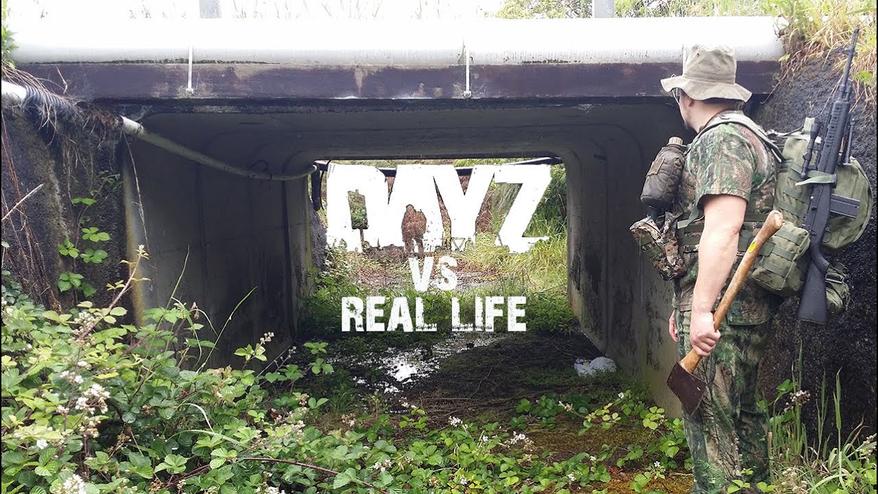 DayZ life vs Real life Episode 2 - YouTube