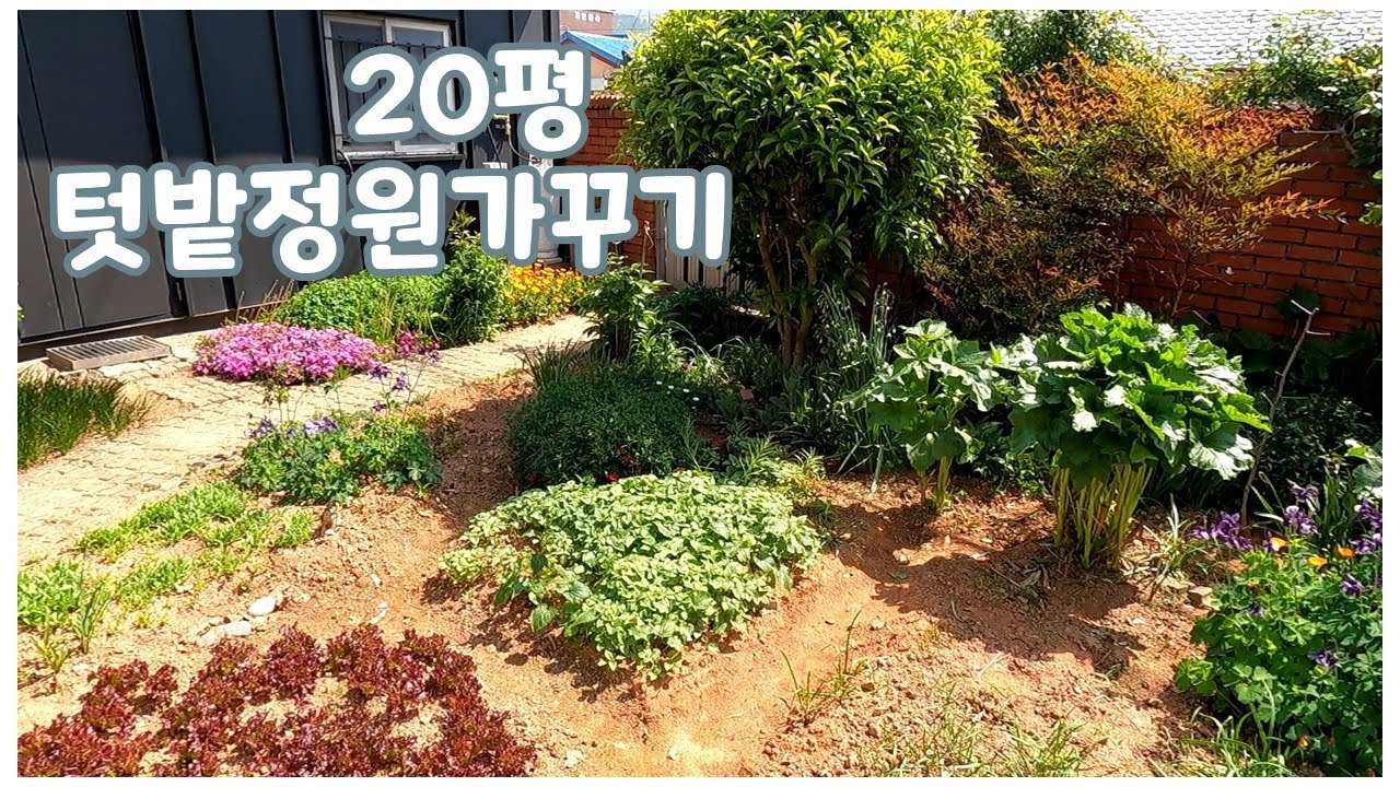 20평 도시 텃밭 정원 가꾸기 텃밭과 꽃밭이 함께 있는 텃밭정원 Youtube
