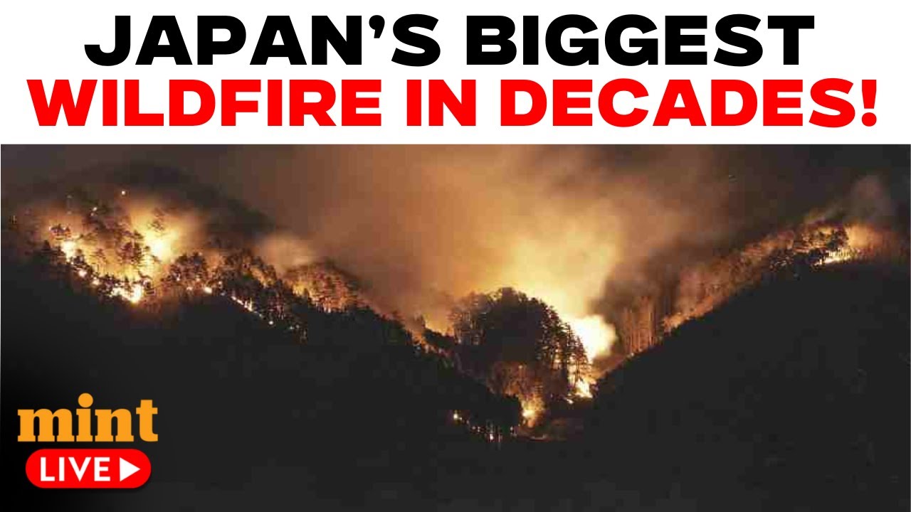 Japan News Live: Massive Forest Fire in Japan Forces Thousands to ...