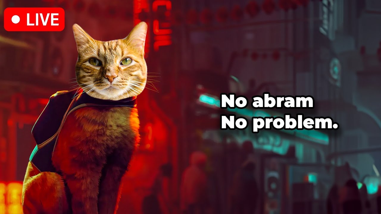 No Problem Cat