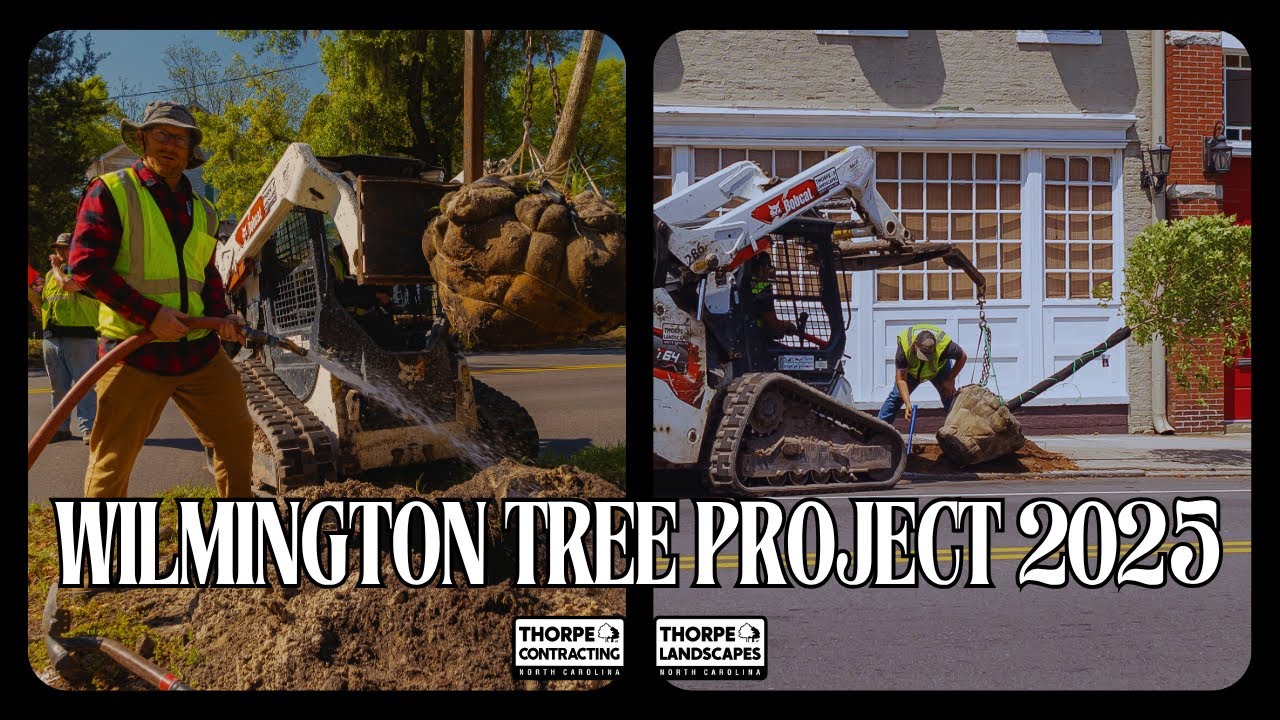 The last route of our 464-tree planting project for Wilmington, NC ...