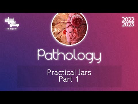 Practical jars, part1, Pathology - YouTube