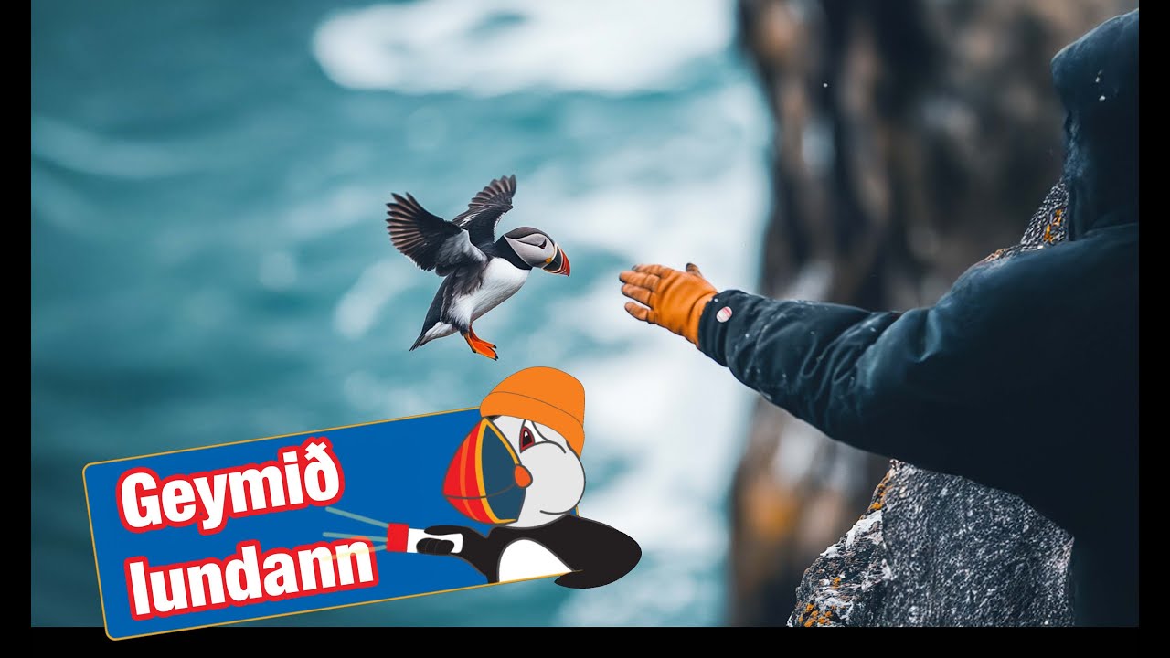 Episode 222: Puffin Patrol: Throwing Puffins off a Cliff - YouTube