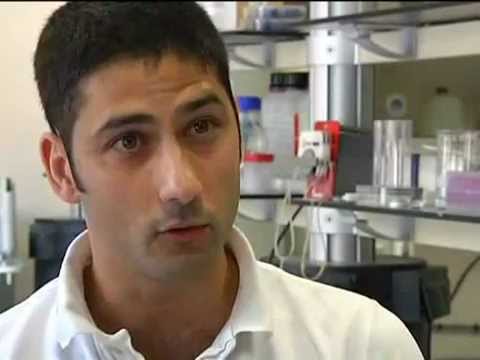 Entrevista a David Yañez Ruiz - YouTube