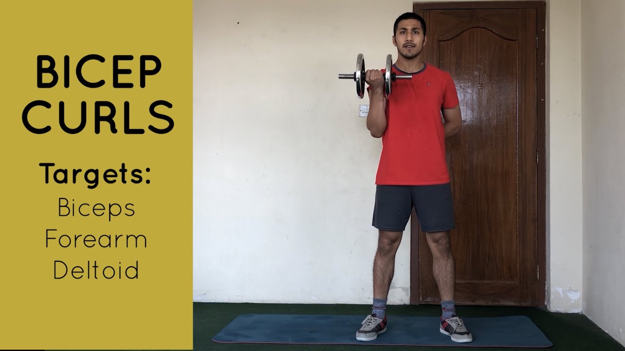 11 Single Dumbbell Exercises at Home (Workouts with One Dumbbell ...
