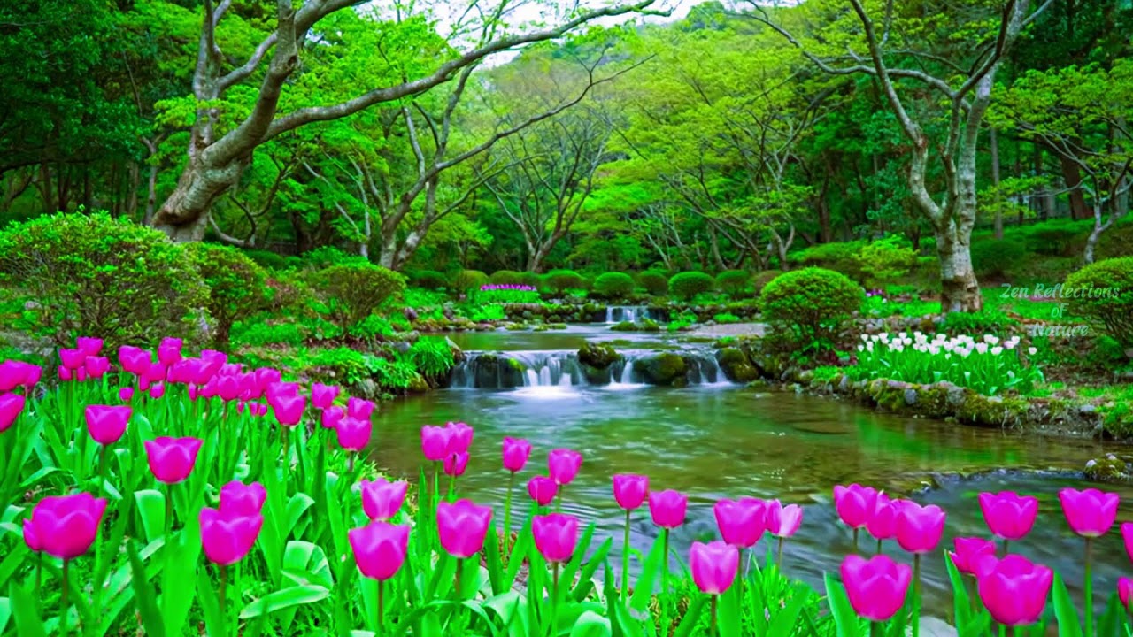 Soft Ocean Waves & Flute for Study & Concentration - YouTube