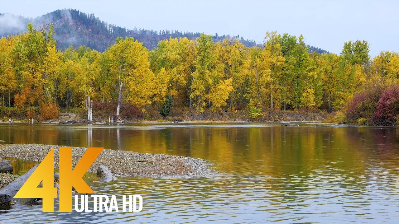 Autumn Forest on the Riverside - Fall Views - 4K Nature Relax Footage ...