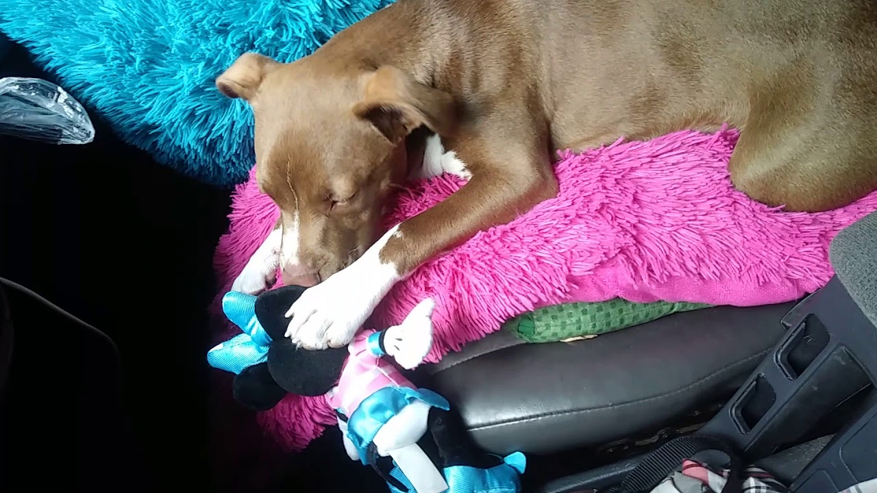 Part 2 of Minnie Mouse getting destroyed - YouTube