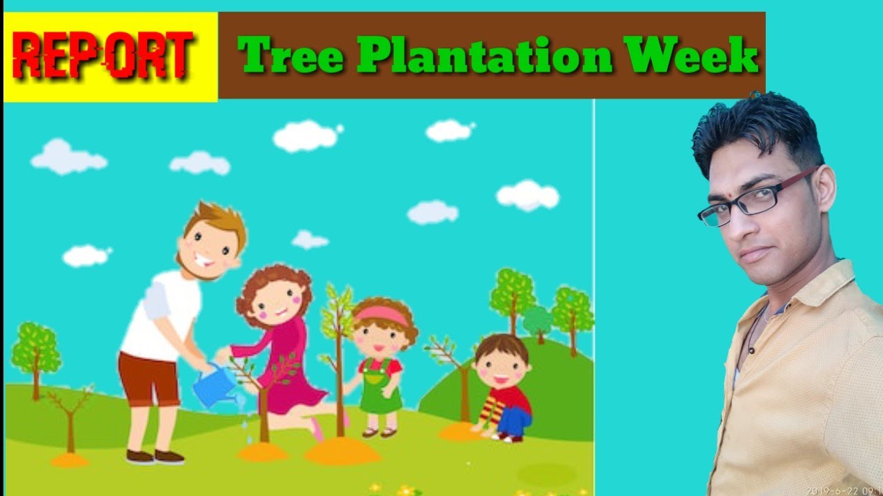 A Report on Tree Plantation Week ||12th class mp board general English ...