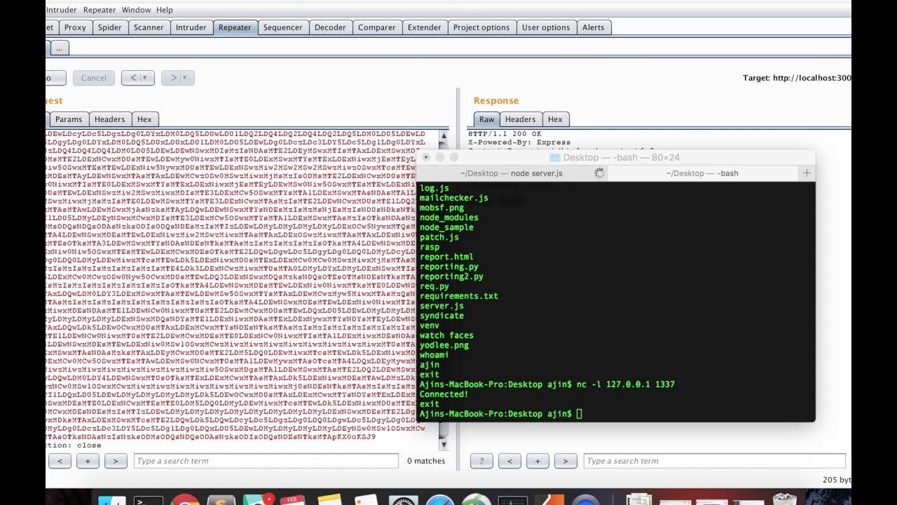 Exploiting Node.js deserialization bug for Remote Code Execution - YouTube