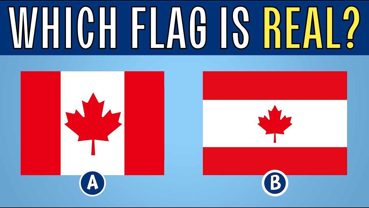 Guess The Correct Flag Challenge | Can you Guess the Correct One? Guess ...