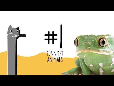 FORGET CATS! Funny KIDS are WAY FUNNIER! - TRY NOT TO LAUGH😋