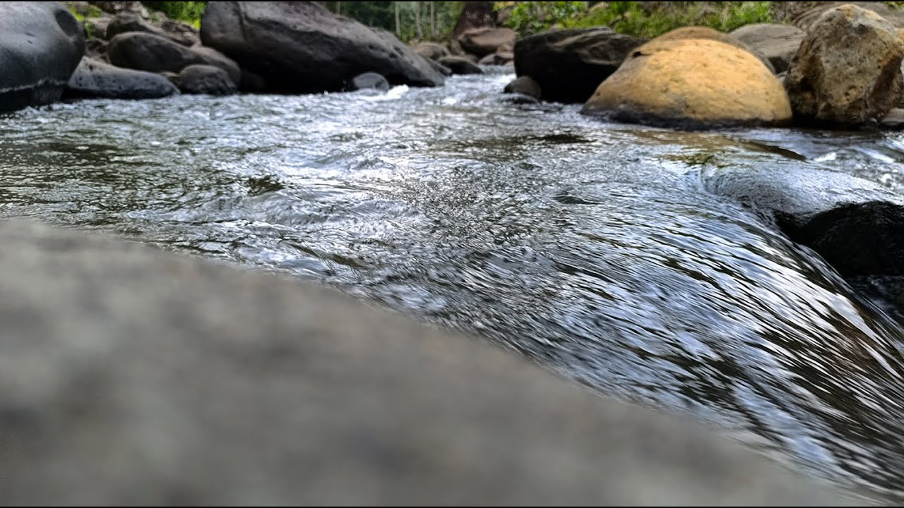 Make Sleep Soundly With Peaceful - Sounds Of Forest Stream & Tranquil ...