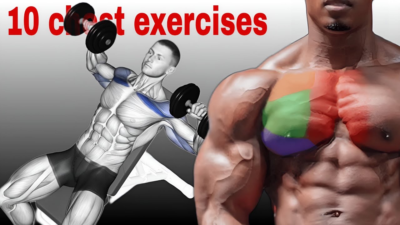 10 best chest exercises at gym for ( bigger chest ) - YouTube