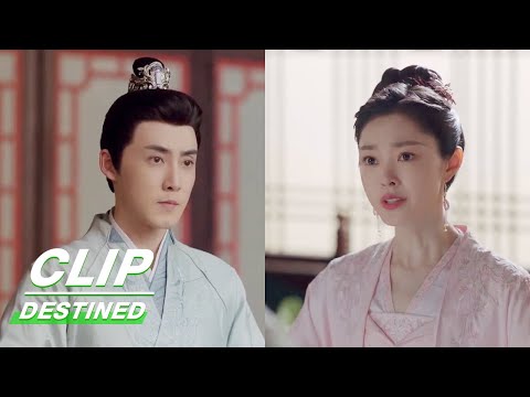 So Angry! Yuru's Business is Cut Off | Destined EP08 | 长风渡 | iQIYI