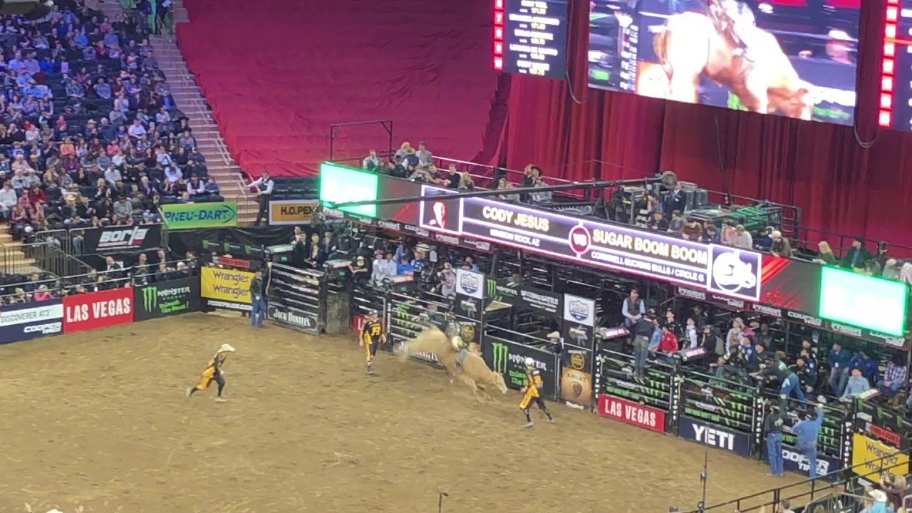 2019 PBR At MSG - YouTube
