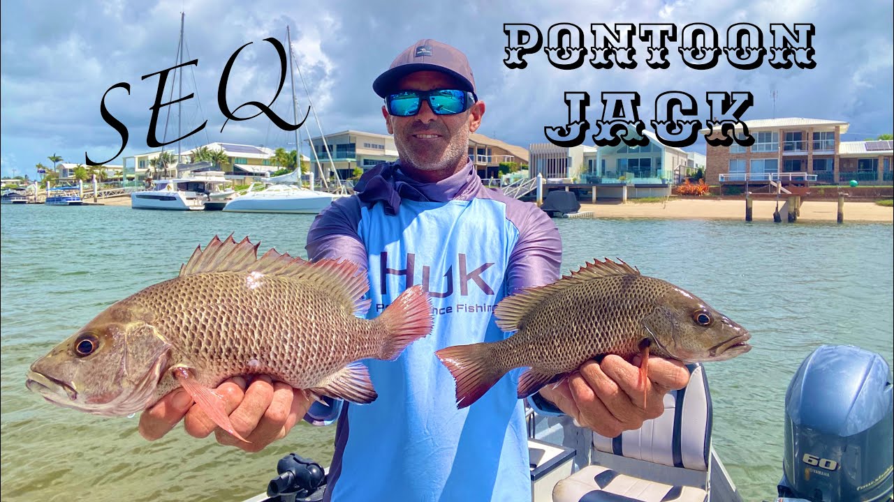 Mangrove jack fishing with zman diesel minnows - YouTube