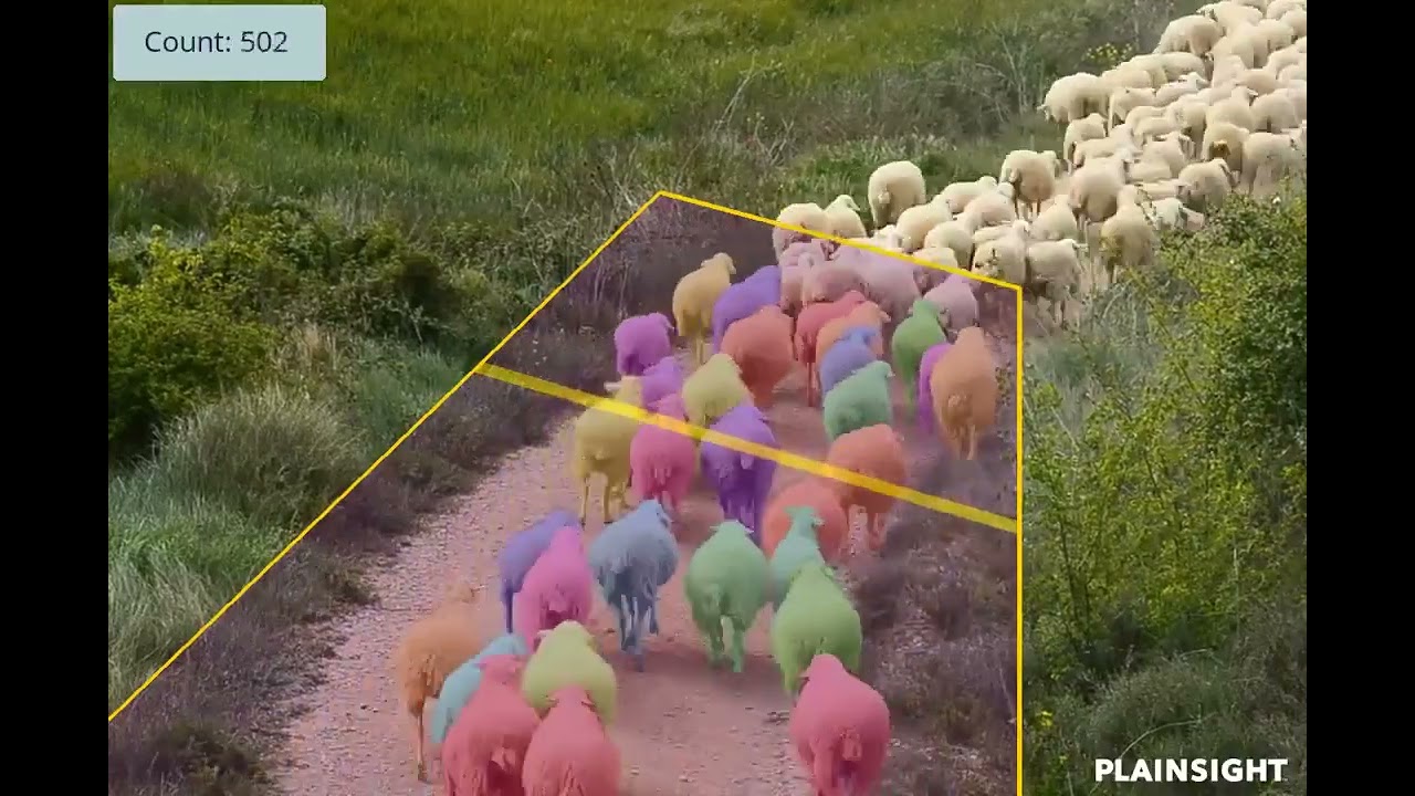 Computer vision app counts sheep without sleep! - YouTube