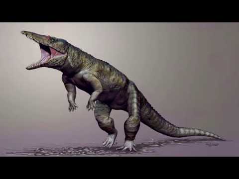 Carnivore discovered in Tanzania lived 245 million years ago during the ...