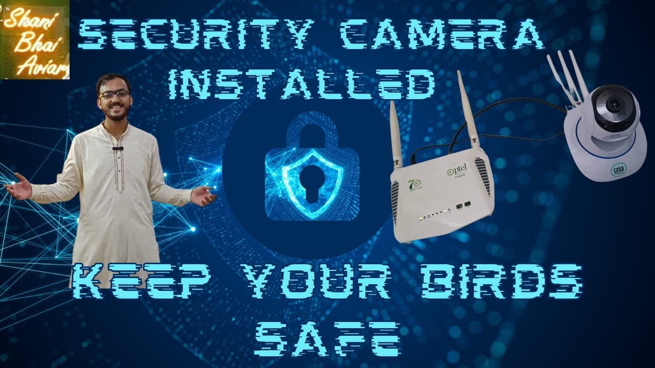Security Camera Installed for Birds | Protect Your Birds | Shani Bhai ...