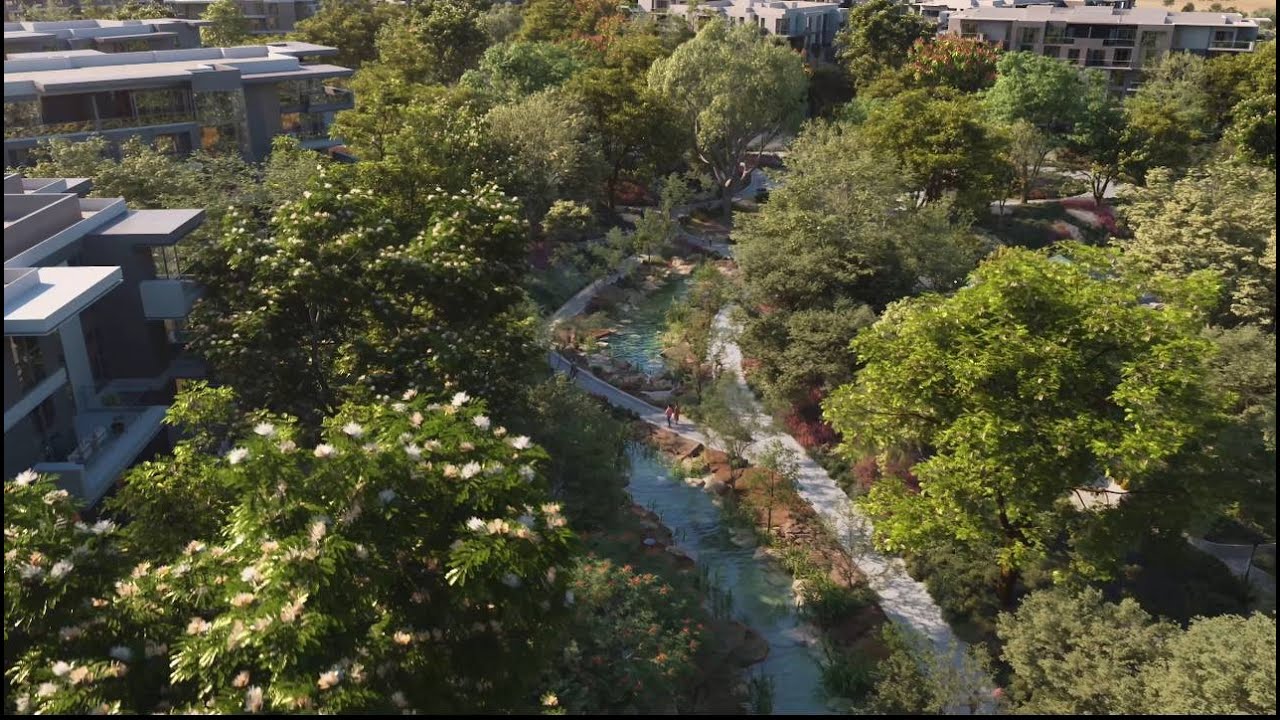 Ghaf Woods | Life Orchestrated By Nature - YouTube