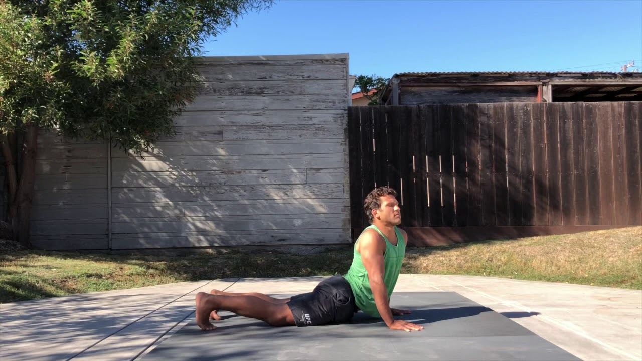 Up dog with a twist - YouTube