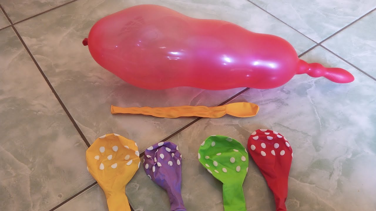 Menemukan balon berhadiah kejutan,memompa balon panjang balon warna ...