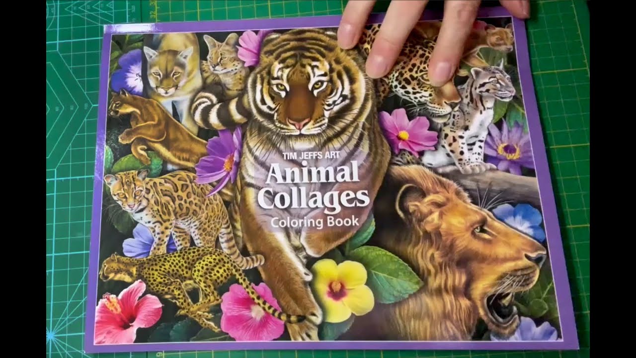 Flip-Through Video of Animal Collages Coloring Book - YouTube