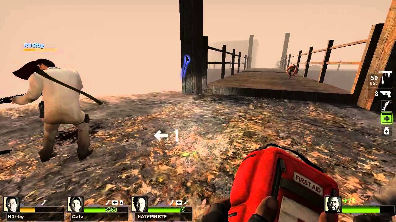 L4D2: Pasiri cu Cata, IHatePink, Goku si Rottby #1 - YouTube