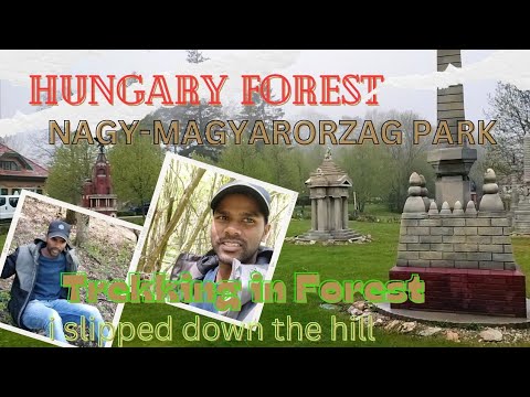 Hungary Forest | Traditional Park Nagy - Magyarország Budapest ...