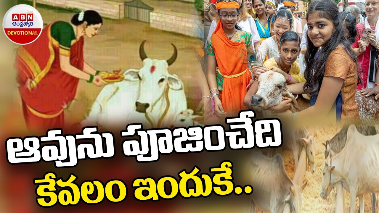 Gomatha Pooja : ఆవును పూజించేది కేవలం ఇందుకే...! || ABN Devotional ...
