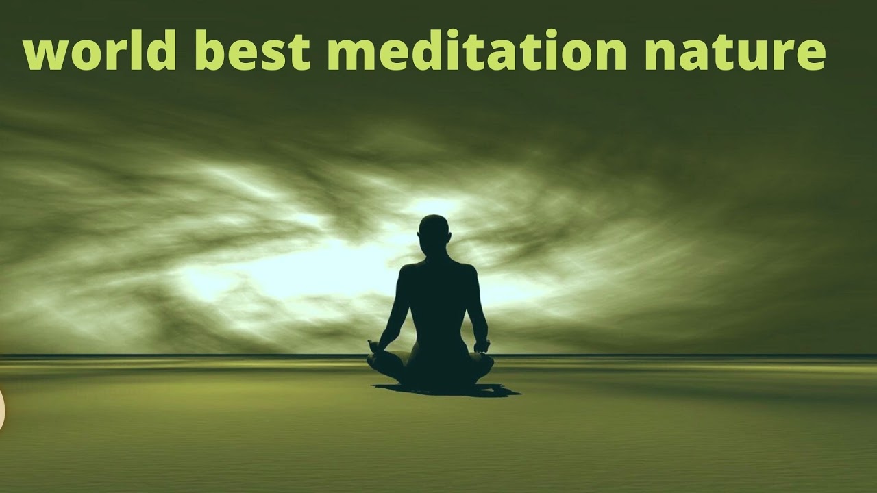 world best meditation nature Live Stream - YouTube