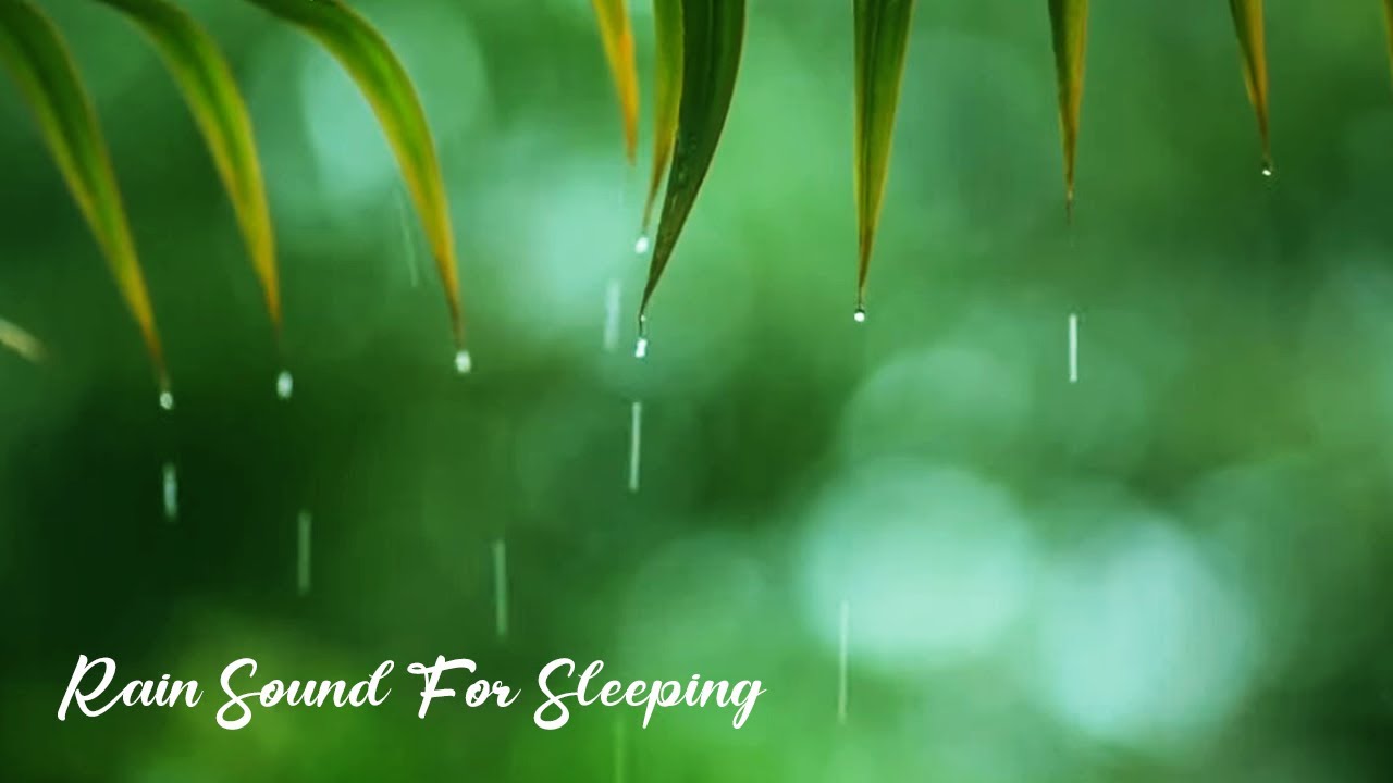 🔴Relaxing Music & Rain Sounds - Beautiful Piano Music,Background Music ...