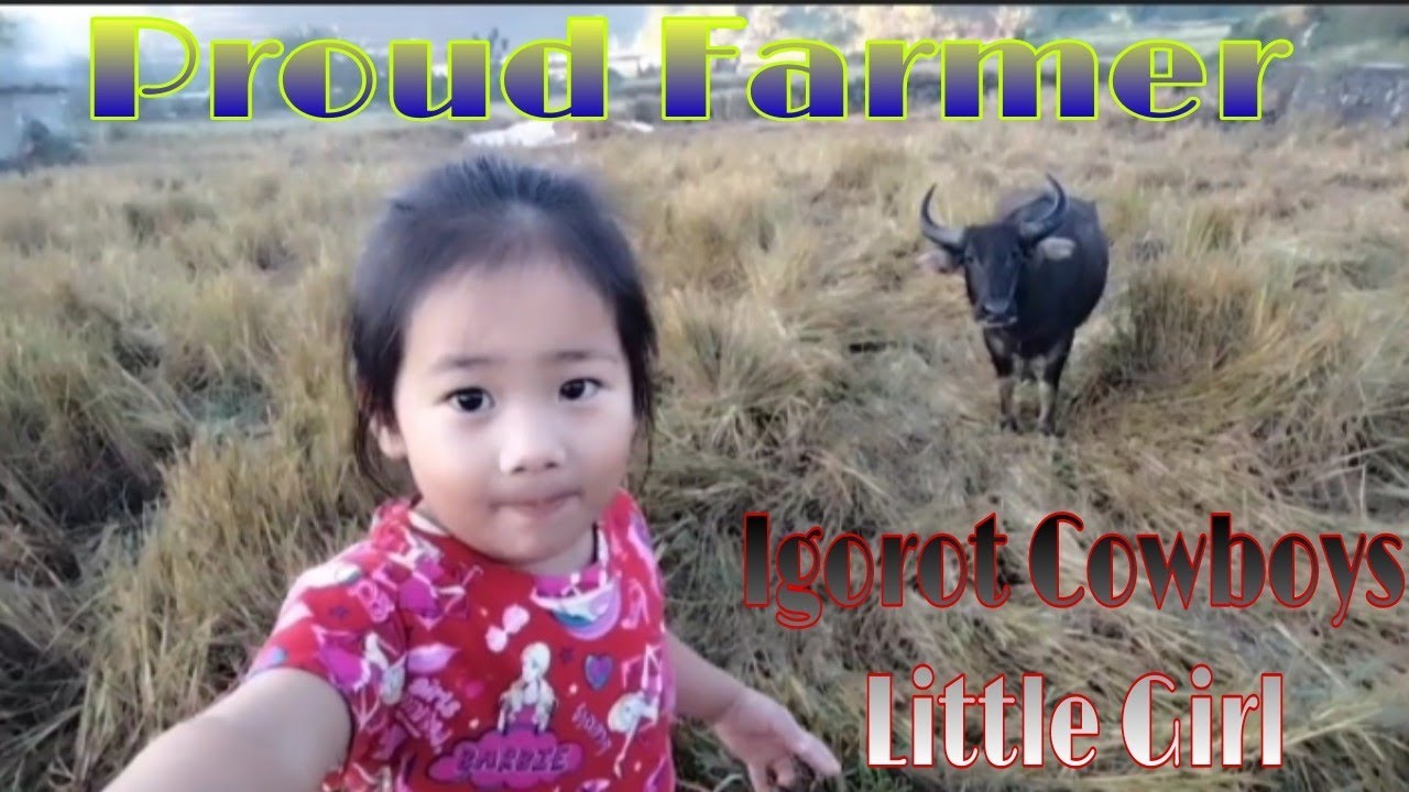 Life of Igorot Farmer, Igorot Cowboys Little Girl, Kapangan Benguet - YouTube