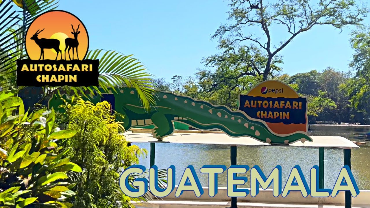 Guatemala 🇬🇹 Auto Safari Chapin , Emu , Pájaros , Animales . Hermosa ...