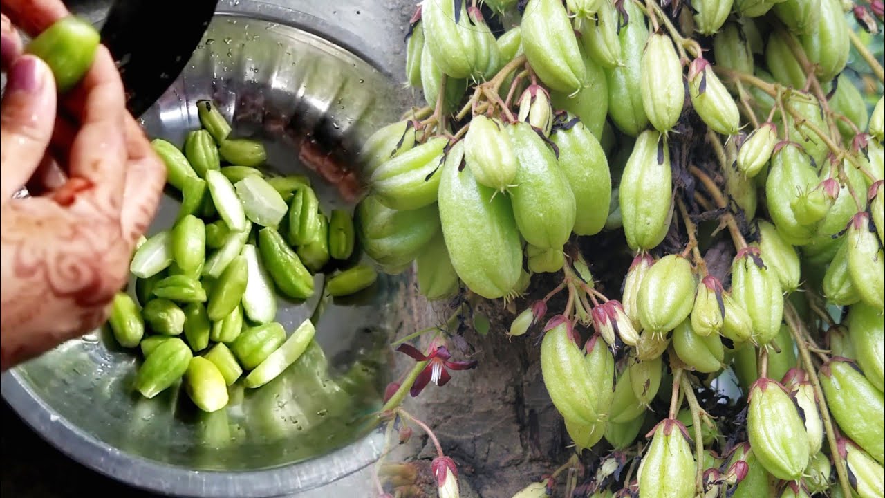 মুখের রুচি ফিরিয়ে আনবে দারুণ স্বাদের বিলম্বু টক রান্না | Bilombo Tok ...