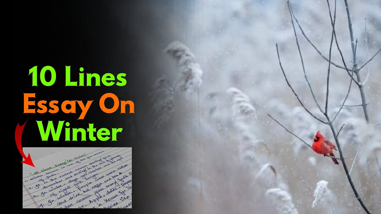 10 Lines Essay On Winter | Essay On Winter | 10 Lines On Winter In ...