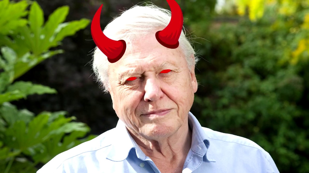 DeSinc Attenborough Explains Evolution - YouTube