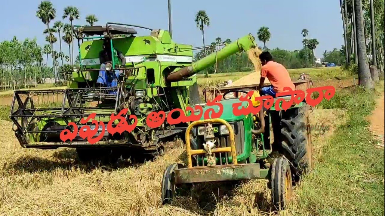Harvesting, paddy rice cutting machine... - YouTube