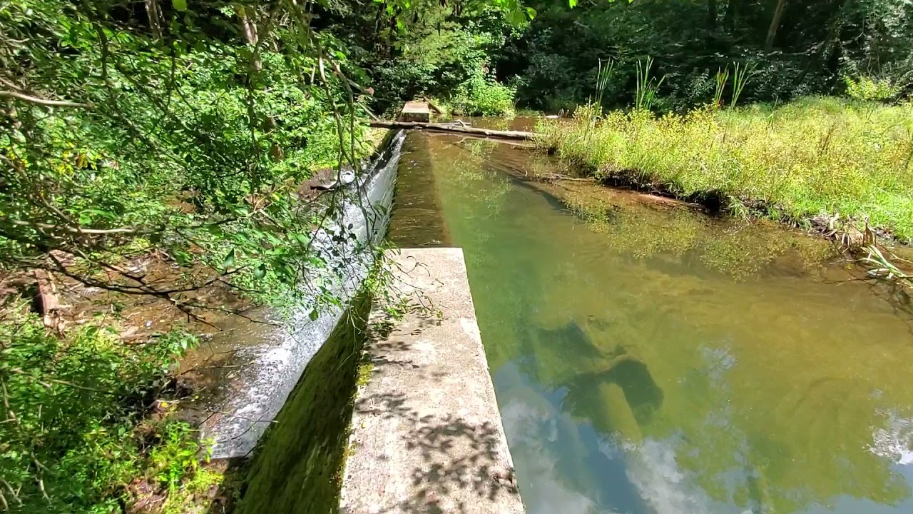 Callen Run dam near Sigel, PA. September 2021. - YouTube