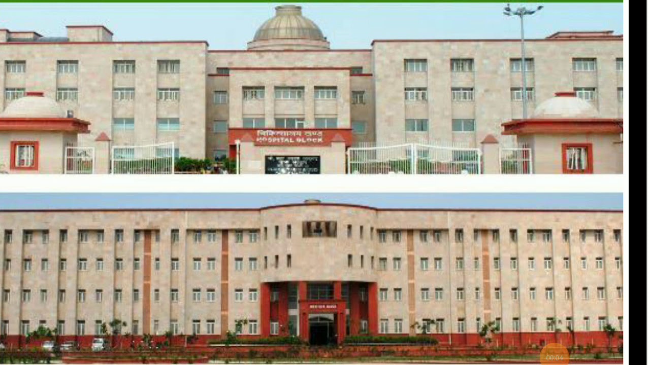 CBPACS IPU BAMS 2019 CUTOFF DELHI QUOTA/ ALL INDIA QUOTA - YouTube