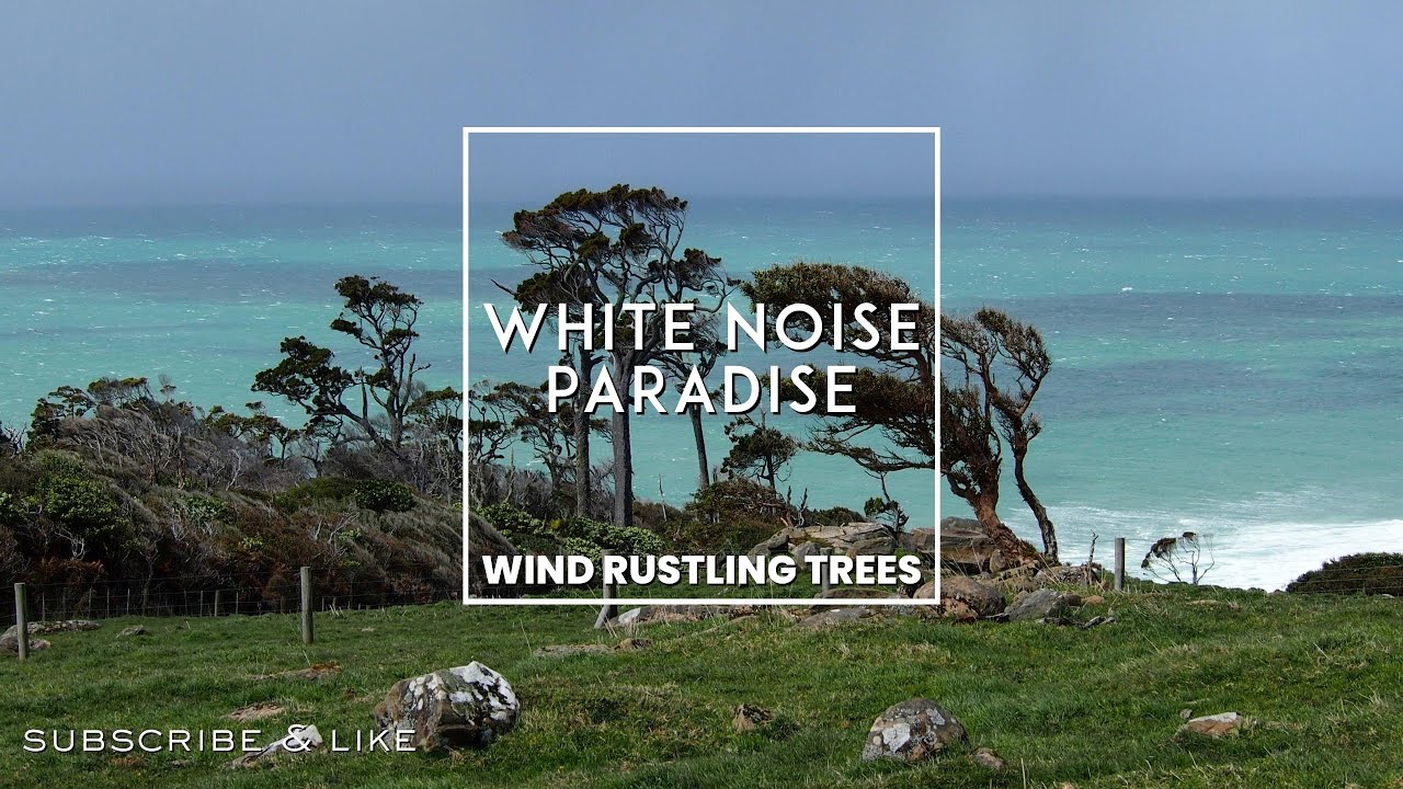 WIND RUSTLING TREES - WHITE NOISE TO SLEEP & RELAX 10 HOURS - YouTube