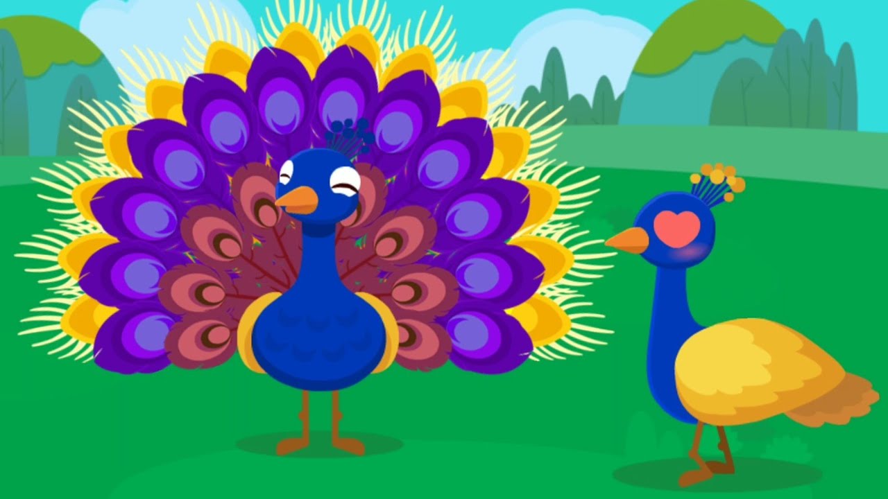 Cartoon cartoon.Baby chota Bim.@kukublog - YouTube