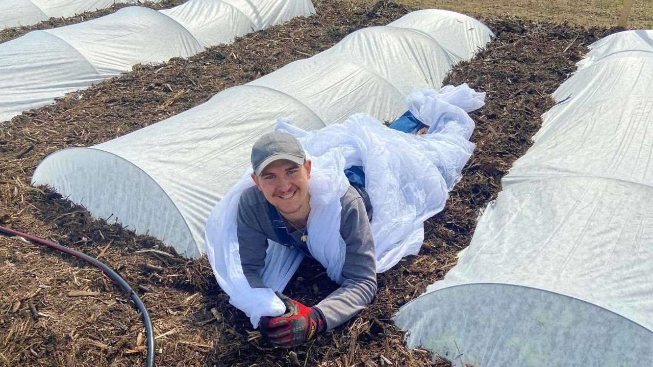 Growing Vegetables Under Row Cover - YouTube